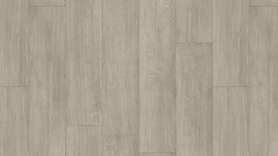 Oak GREY EASY ACOUSTIQUE 4 Hétérogène U3U4 acoustique